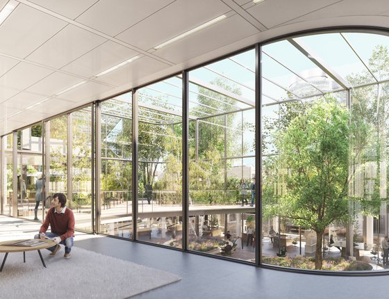 Wonderwoods - MVSA Architects
